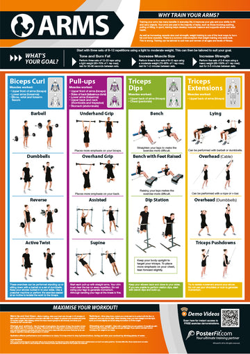 Fitness Posters | Exercise Posters | Gym Posters | Physical Education ...