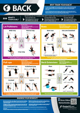 Fitness Posters | Exercise Posters | Gym Posters | Physical Education ...