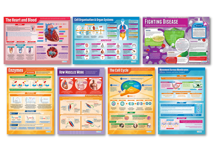 Science Poster Sets – Bright Education Australia