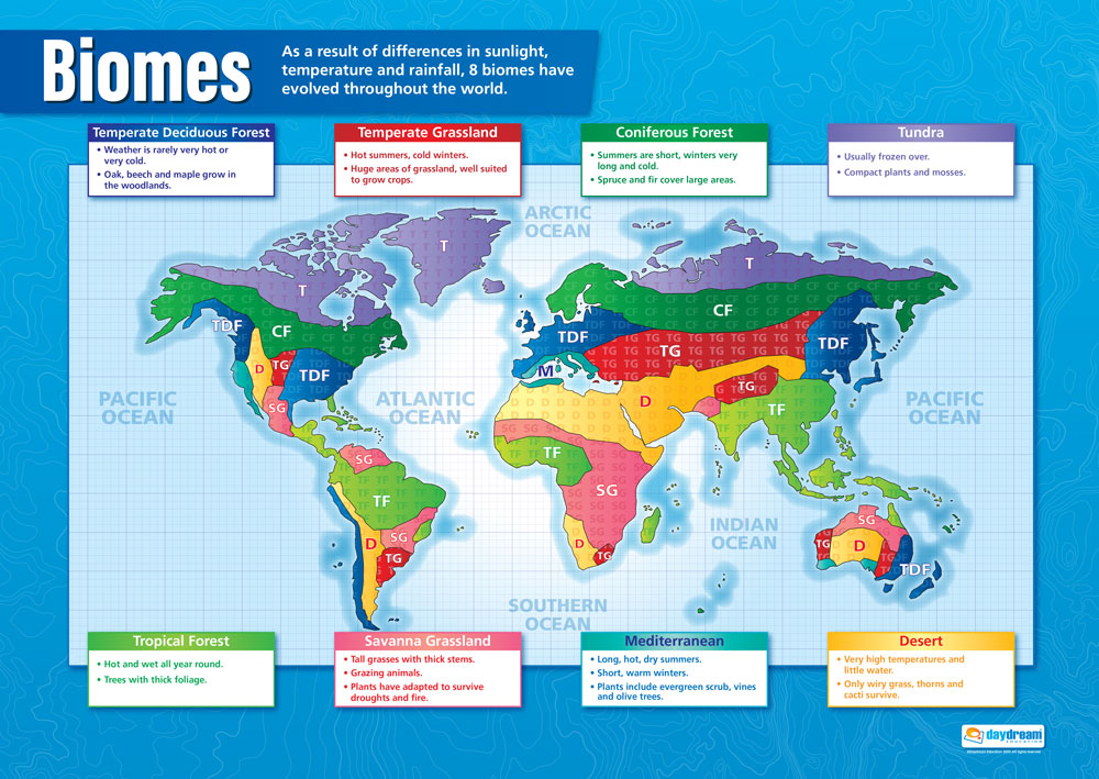 Biomes Poster | Geography Posters | Geography Charts for the Classroom ...