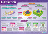 Science Posters | Science Charts for the Classroom | Education Charts ...