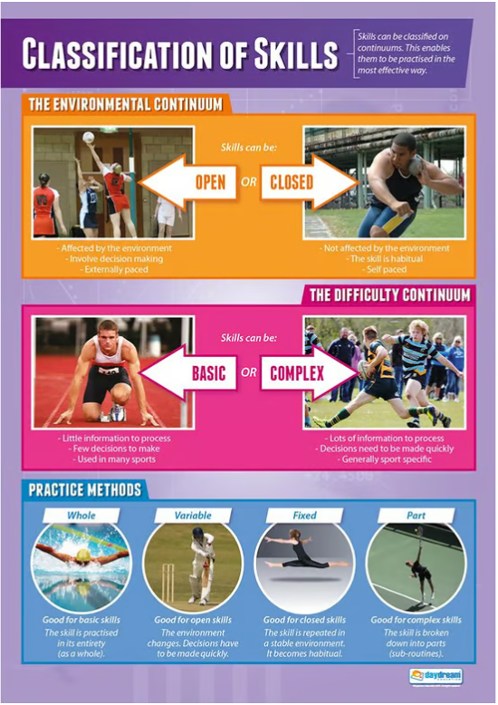 Classification of Skills Poster | Physical Education Poster | PE Poster ...