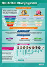 Science Posters | Science Charts for the Classroom | Education Charts ...