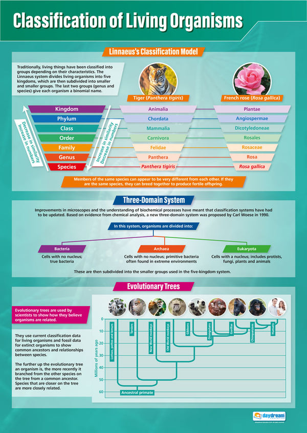 Classification of Living Organisms Poster | Science Posters | Biology ...