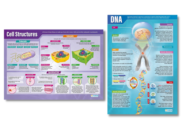 DNA & Cell Structure Poster Set of 2 – Bright Education Australia