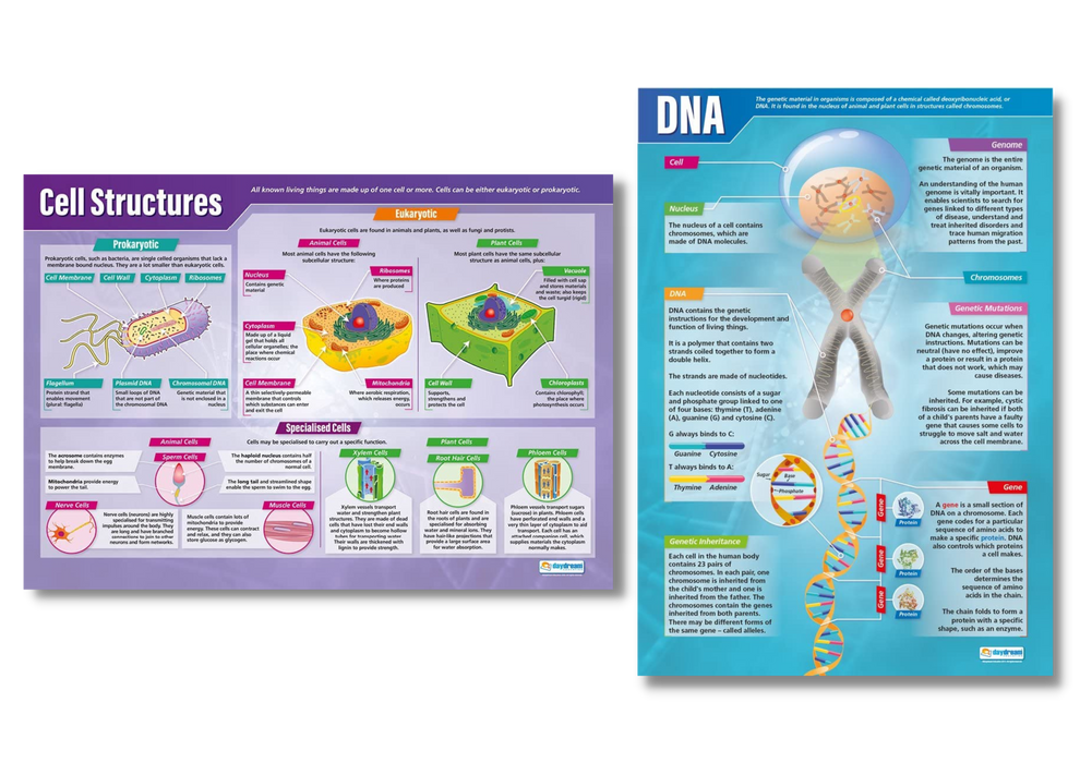 DNA & Cell Structure Poster Set of 2 – Bright Education Australia