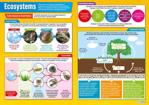 Ecosystems Poster | Geography Posters | Geography Charts for the ...