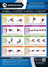 Fitness Posters | Exercise Posters | Gym Posters | Physical Education ...