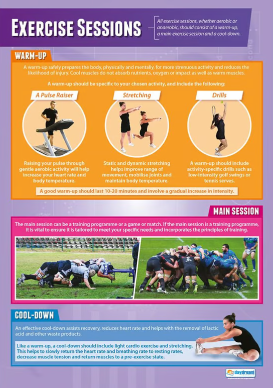 Exercise Sessions Poster | Physical Education Poster | PE Poster ...