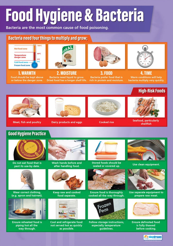 Food Hygiene & Bacteria Poster | Design & Technology Poster | Food ...