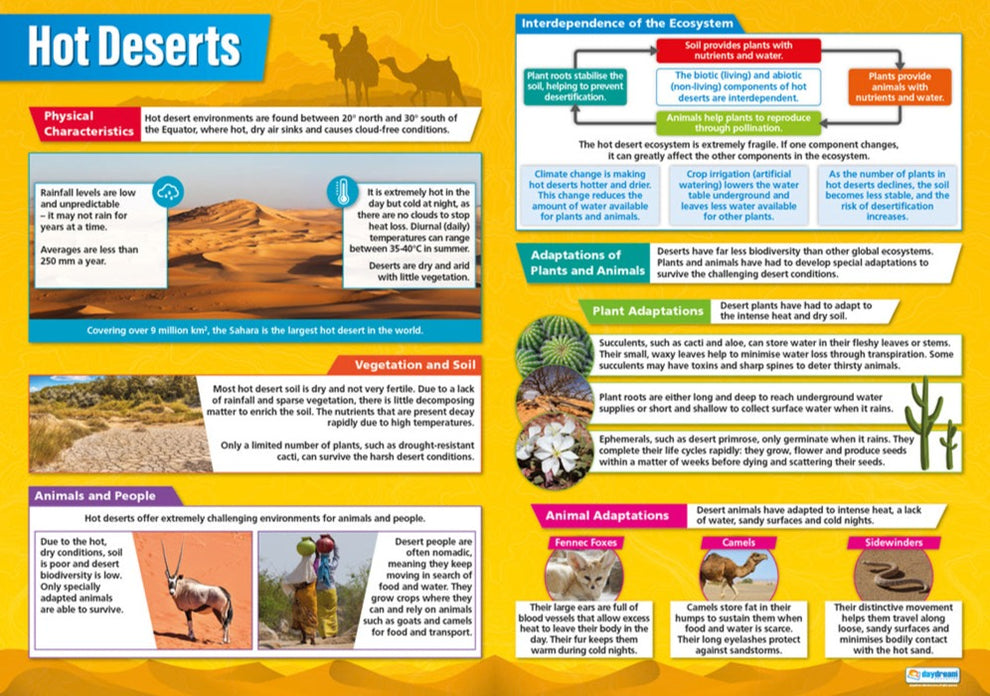 Ecosystems Poster Set of 6 – Bright Education Australia