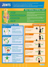 Fitness Posters | Exercise Posters | Gym Posters | Physical Education ...