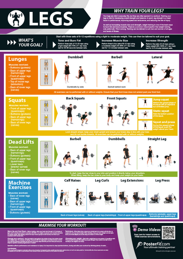 Leg Exercises Poster | Gym & Fitness Poster | Physical Education Poster ...