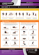 Fitness Posters | Exercise Posters | Gym Posters | Physical Education ...