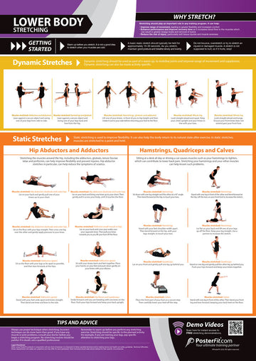 Fitness Posters | Exercise Posters | Gym Posters | Physical Education ...