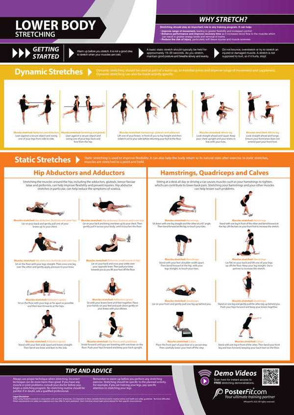 Lower Body Stretching Poster | Gym & Fitness Poster | Physical ...