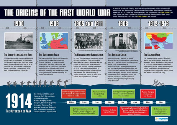 Origins of the First World War Poster | History Poster | WW1 History ...