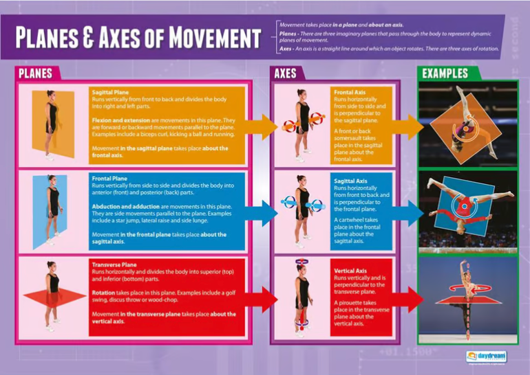 Planes & Axes of Movements Poster | Physical Education Poster | PE ...