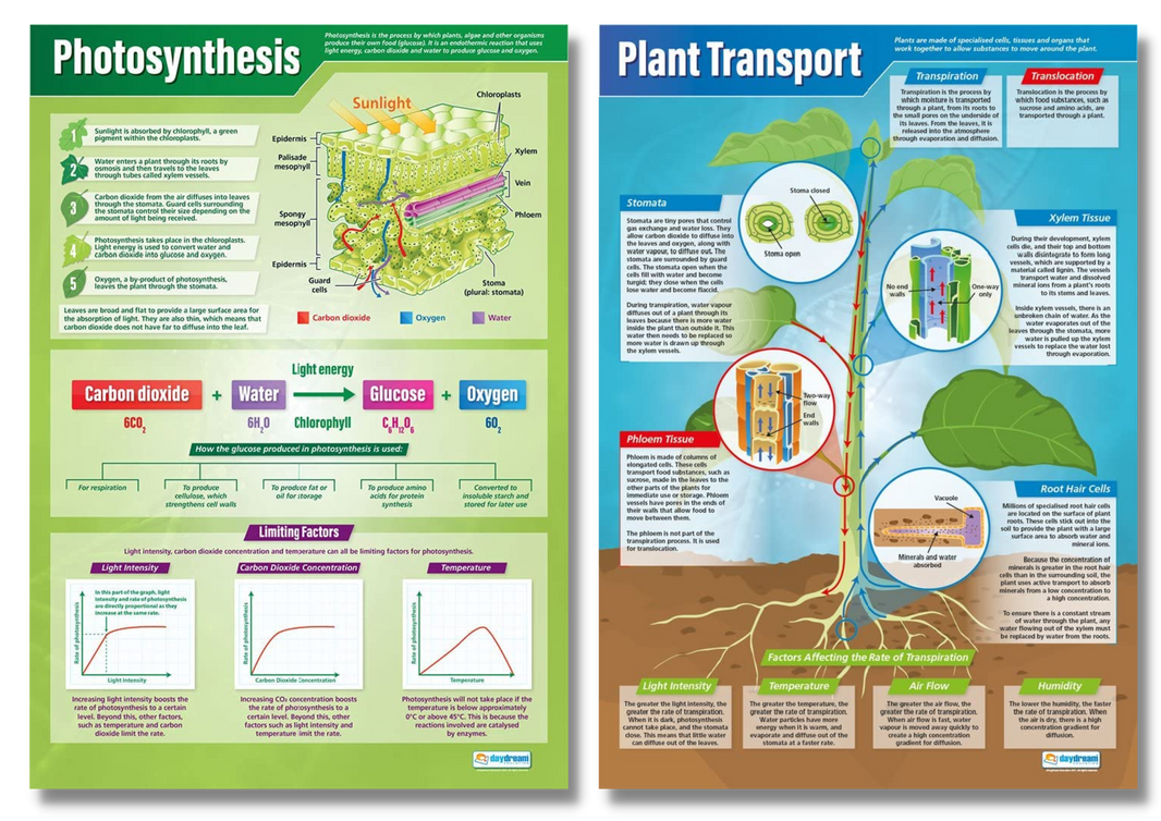 Science Poster Sets – Bright Education Australia