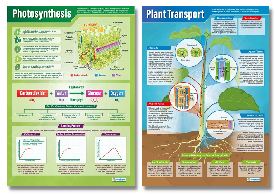 Science Poster Sets – Bright Education Australia