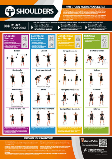 Fitness Posters | Exercise Posters | Gym Posters | Physical Education ...