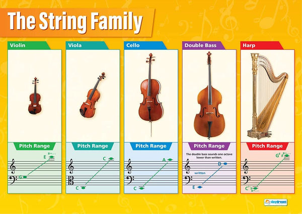 The String Family Poster | Music Posters | Performing Arts | Music ...