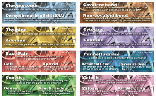 Science Posters | Science Charts for the Classroom | Education Charts ...